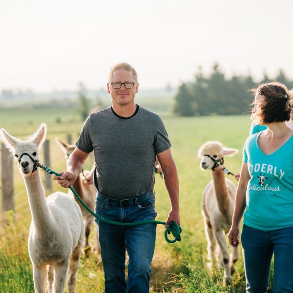 Alpaca Walks | Udderly Ridiculous Farm Life | Alpaca Farm | Ontario