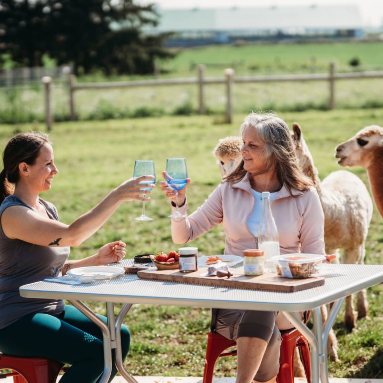 Alpaca Picnic | Goat & Alpaca Farm | Ontario