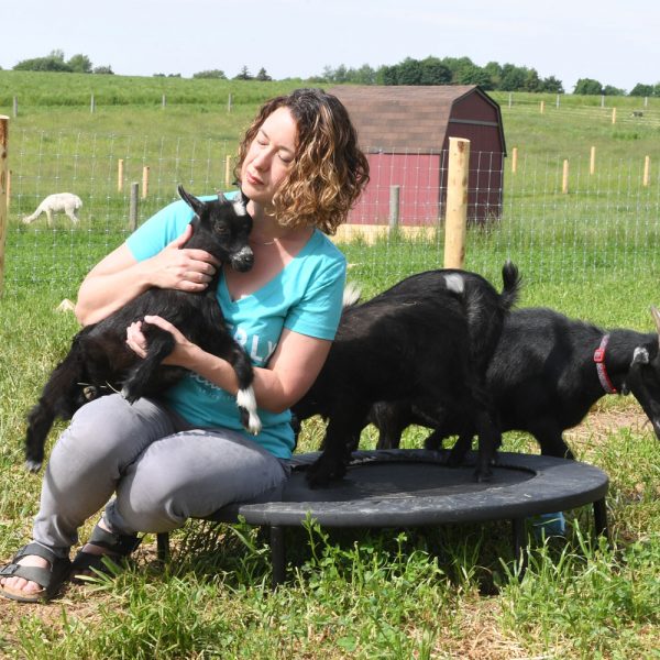 Udderly Ridiculous Farm Life | Alpaca & Goat Farm | Bright, Ontario
