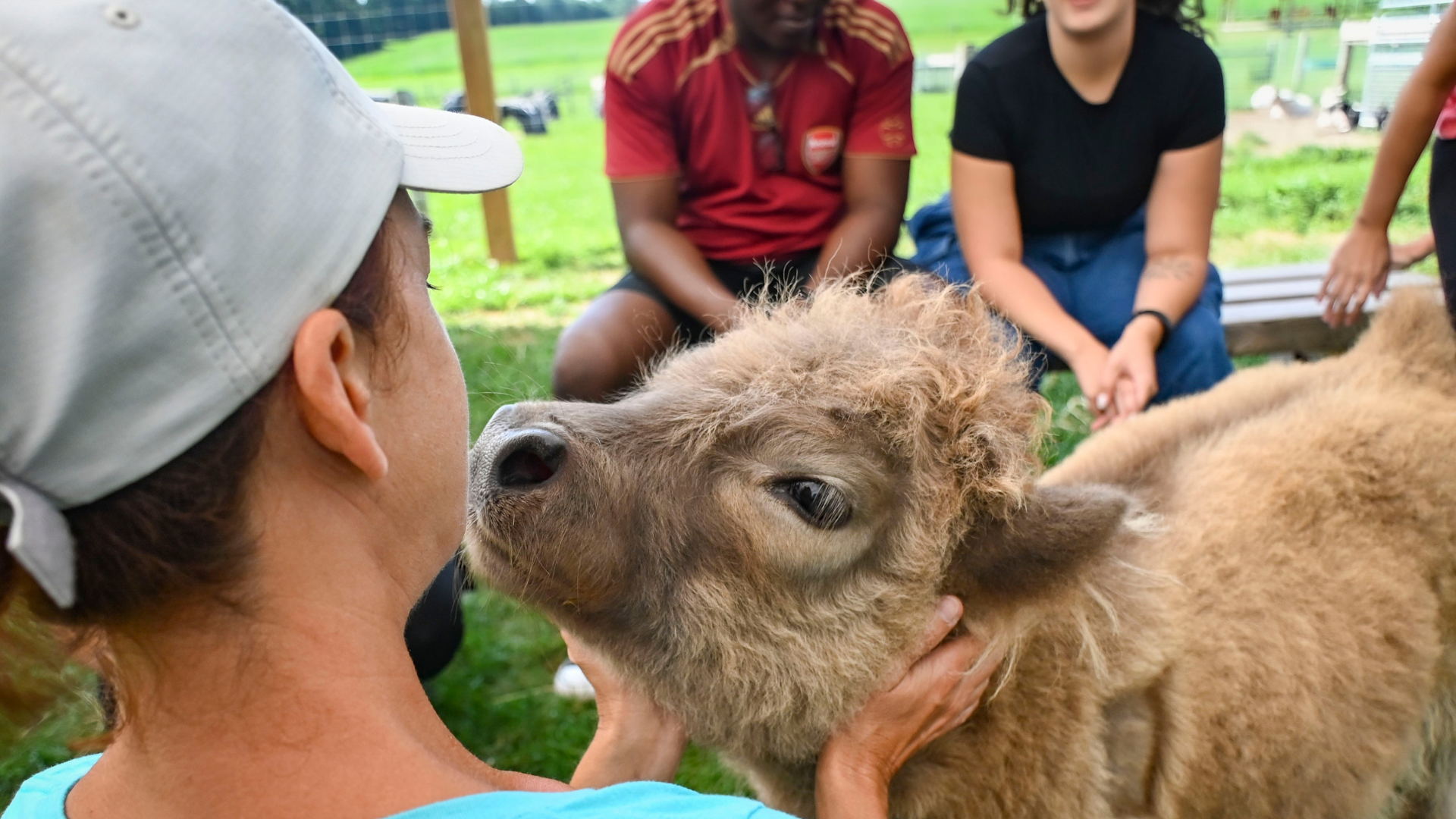 Farm Experiences | Udderly Ridiculous Farm Life
