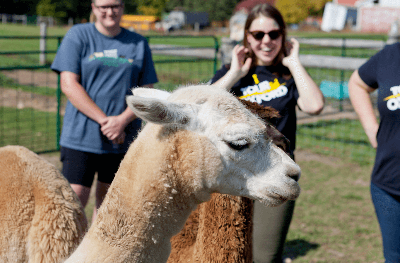 Team Building Farm Experiences | Udderly Ridiculous Farm Life